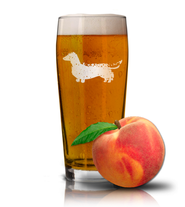 Sons of Peaches IPA – Scarlet Letter Beverage Co.